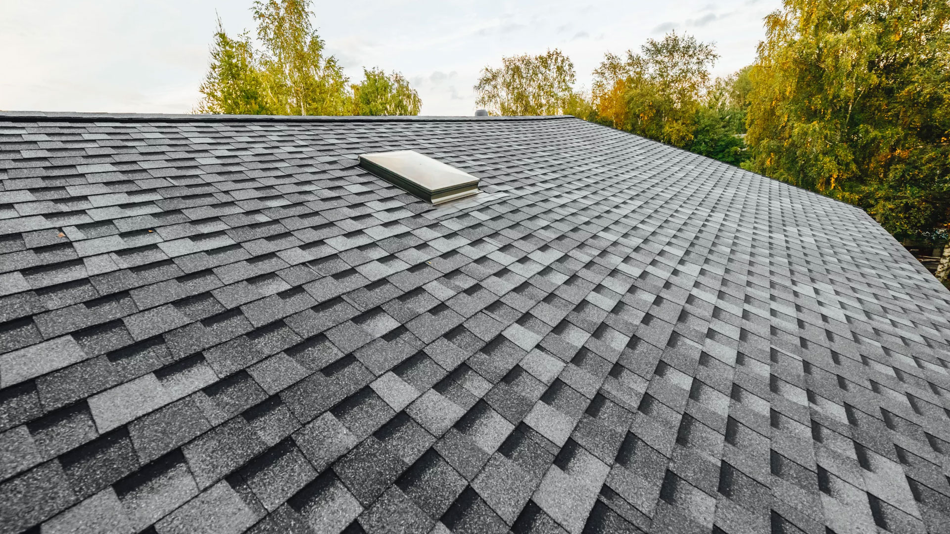 Shingle Roofing | Drew Roofing | Saint Petersburg, Florida